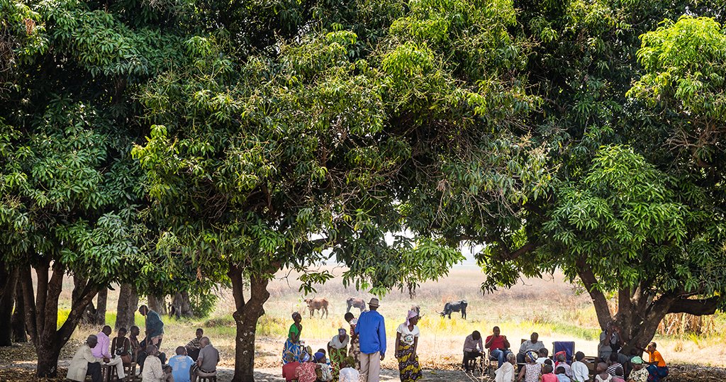 3rd WHO report on NTDs | Uniting to Combat NTDs